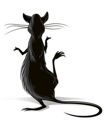 Rat Vector Images (over 29,000)