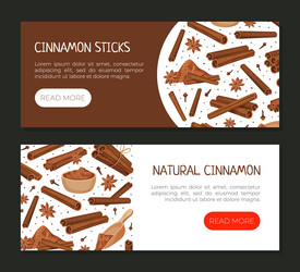 Cinnamon label design with aromatic spice sticks Vector Image