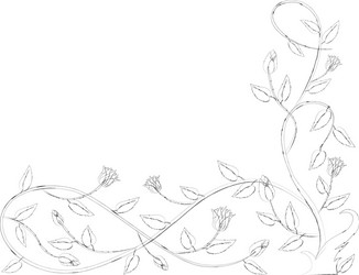 Outline drawings decorative floral corners Vector Image