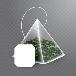 Pyramid and rectangle shaped tea bag mock up set Vector Image
