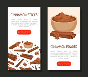 Cinnamon design with aromatic spice sticks Vector Image
