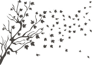 Maple Tree Black and White Vector Images (over 2,300)