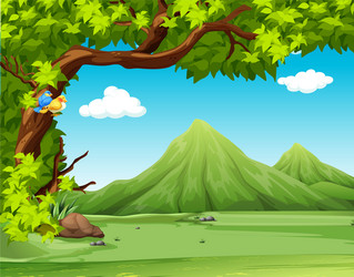 Background scene with nature theme Royalty Free Vector Image