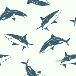 Pattern with sharks Royalty Free Vector Image - VectorStock