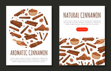 Cinnamon design with aromatic spice sticks Vector Image
