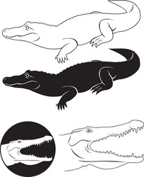 Alligator Vector Images (over 11,000)
