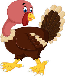 Turkey bird cartoon Royalty Free Vector Image - VectorStock