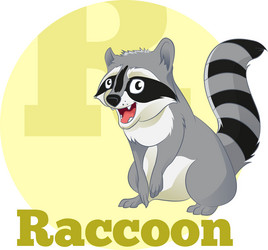 Letter r is for raccoon cartoon alphabet Vector Image
