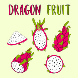 Dragon fruit cartoon Royalty Free Vector Image