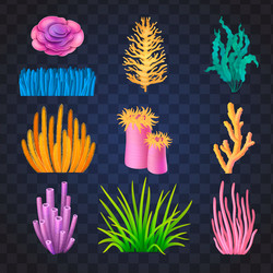 Coral reefs set Royalty Free Vector Image - VectorStock