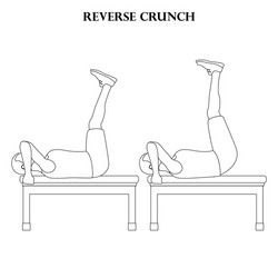 Reverse Crunches Vector Images (37)