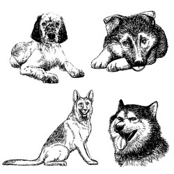 Hand drawn dog labrador sketch Royalty Free Vector Image