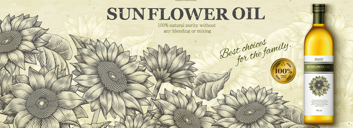 Sunflower Oil Ads Vector Images (40)
