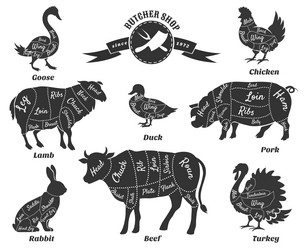 Butcher guide cuts of meat diagram Royalty Free Vector Image