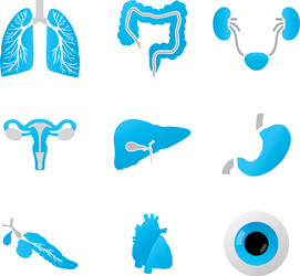 Human Body Parts Vector Images (over 21,000)