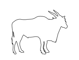 Eland Vector Images (over 100)