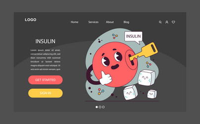 Endocrine system insulin function pancreas gland Vector Image