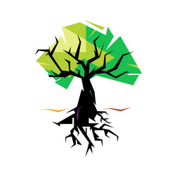 Kapok Vector Images (35)