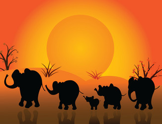 Herd Vector Images (over 8,000)