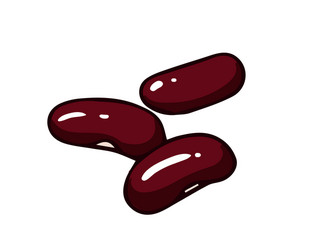 Dried beans isolated on white background Vector Image