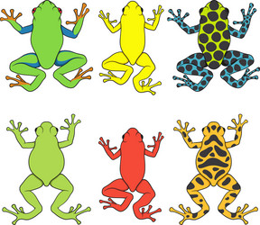 Green frog Royalty Free Vector Image - VectorStock
