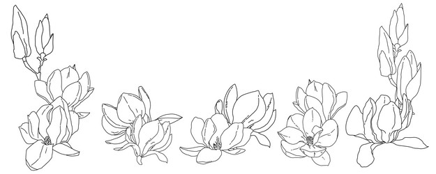 Magnolia flowers in bloom frame border template Vector Image