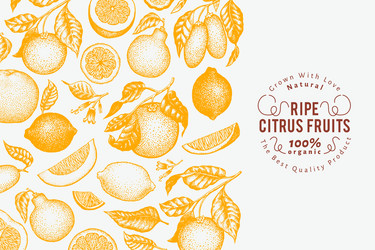Citrus Vector Images (over 88,000)