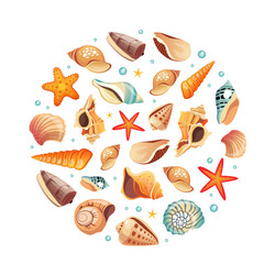 Sea shells seamless pattern summertime design Vector Image