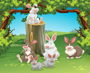 Boy are playing with three rabbits Royalty Free Vector Image