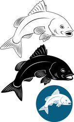 Yellowtail snapper fish gulf of mexico cartoon Vector Image