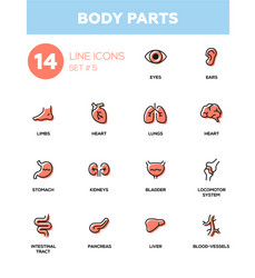 How many worksheet with body parts for kids write Vector Image