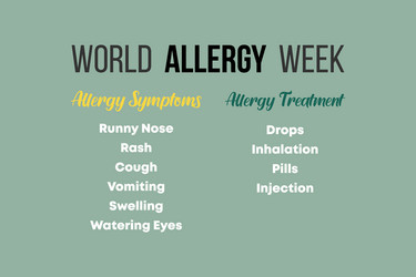 World allergy week treatment infographic Vector Image