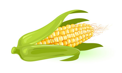 Corn cartoon character Royalty Free Vector Image