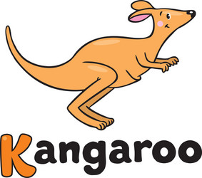 Alphabet letter k and kangaroo abc Royalty Free Vector Image