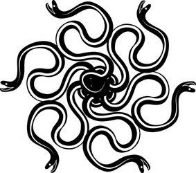 Knot Vector Images (over 51,000)