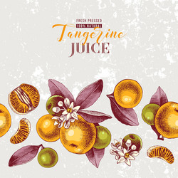 Tangerine Vector Images (over 13,000)