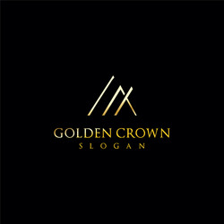Gold triangle line stripe logo Royalty Free Vector Image