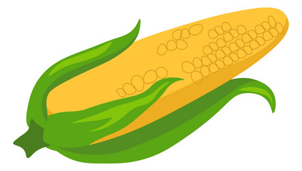 Maize Vector Images (over 11,000)