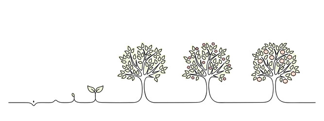 Tree growth cycle growing lineart black Royalty Free Vector