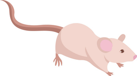 Laboratory Mice Vector Images (over 1,200)