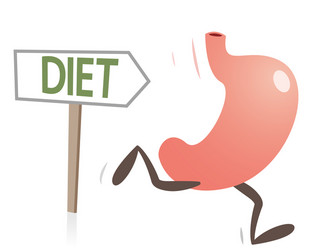 Stomach banding isolated adjustable gastric band Vector Image