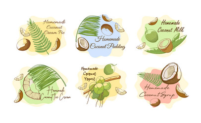 Coconut milk label splash natural and fresh Vector Image