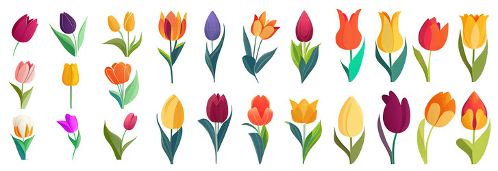 Set of group flower isolated Royalty Free Vector Image