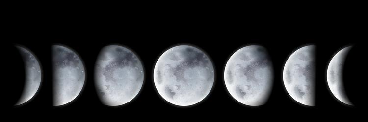 Realistic moon phases lunar phase full luna Vector Image