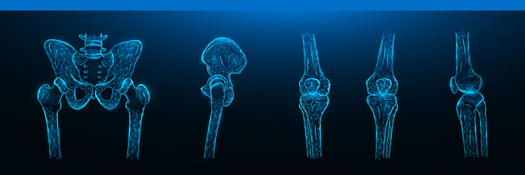 Joint Vector Images (over 42,000)