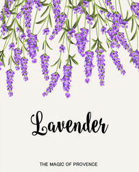 Lavender sign label Royalty Free Vector Image - VectorStock