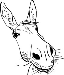 Free Mule Vector Images (58)