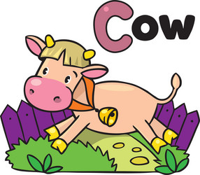 C for cow Royalty Free Vector Image - VectorStock