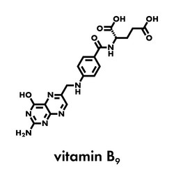 Vitamin B9 Structure