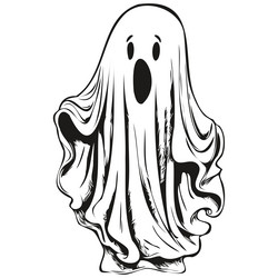 Transparent black and white ghostly reflection Vector Image